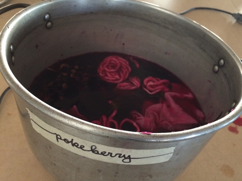 Leather Working and Natural Dyeing – Kate Hartman
